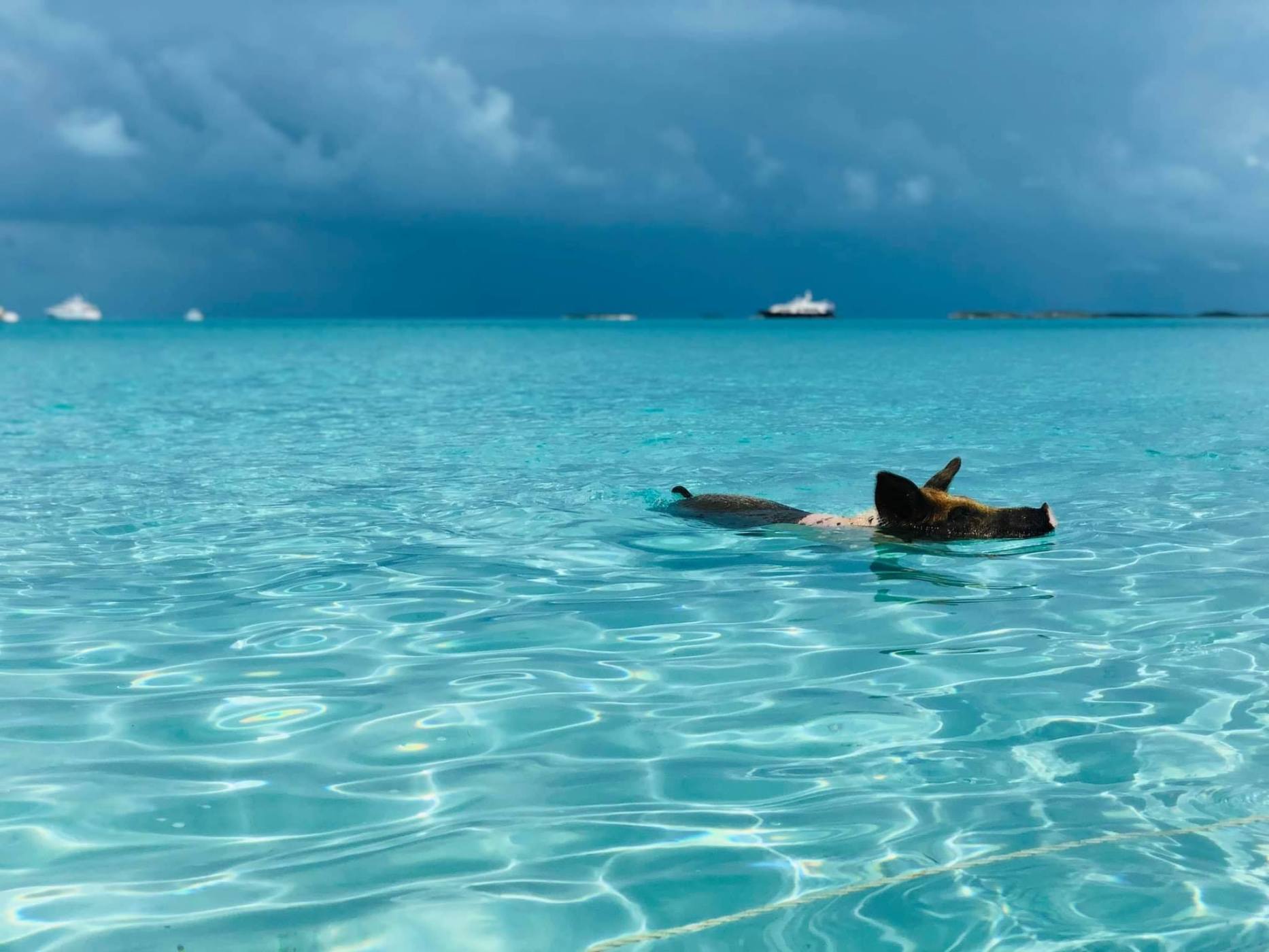 Robert's Island Adventures | Island Tours in Exuma, Bahamas