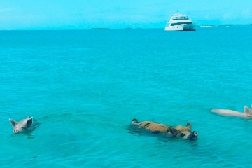 Boat Tours - Exuma Bahamas | Robert's Island Adventures